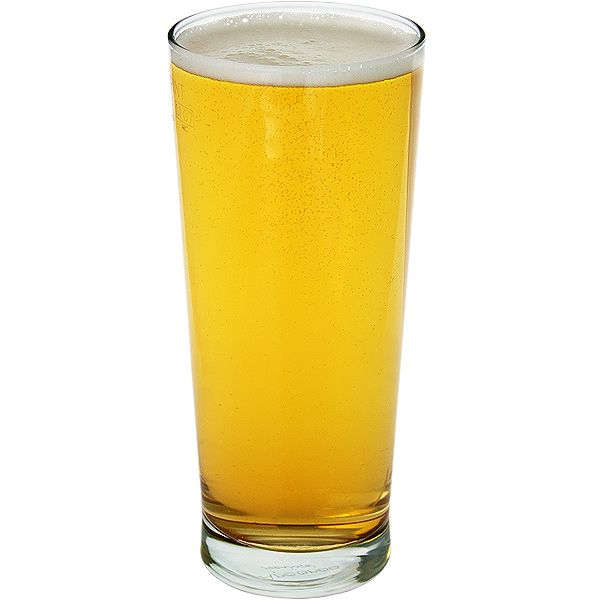 Premier Pint Glasses 20oz 568ml Beer Glasses Pint Glass Conical Glass Buy At Barmans